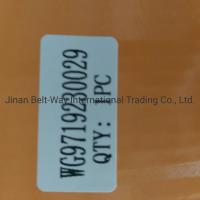 China Sinotruk HOWO Truck Parts Clutch Booster Cylinder Wg9719230029 Perfect for Your Truck for sale