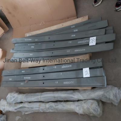 China Sinotruk HOWO Truck Parts Steel Leaf Spring Wg9725520283 with Advanced Technology for sale
