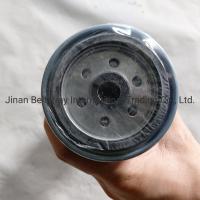 China Sinotruk HOWO Truck Parts Truck Spare Parts Fuel Filters Vg14080740A with Black Color for sale