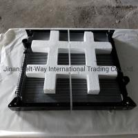 China Sinotruk HOWO Truck Parts Radiator Wg9719530270 Wg9725530011 Contact for Shipping Cost for sale