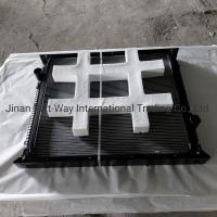 China Sinotruk HOWO Truck Parts Radiator Wg9719530270 Wg9725530011 Contact for Shipping Cost for sale
