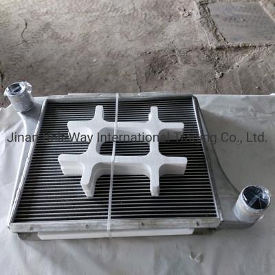 China Sinotruk HOWO Truck Spare Parts Supercharged Intercooler Wg97255300250 Wg9725530020 for sale