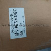 China Sinotruk HOWO Truck Spare Parts Supercharged Intercooler Wg97255300250 Wg9725530020 for sale