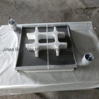 China Sinotruk HOWO Truck Spare Parts Supercharged Intercooler Wg97255300250 Wg9725530020 for sale