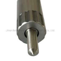China 0950006701 Common Rail Injector 0950006700 Fuel Injector for Sinotruk HOWO and Durable for sale