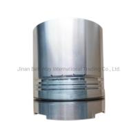 China Electrical System Parts Battery for Nt855 Genset Piston 3017348 Main Market South Asia for sale