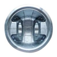 China Electrical System Parts Battery for Nt855 Genset Piston 3017348 Main Market South Asia for sale