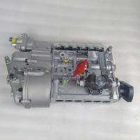 China 612601080397 Weichai Power Fuel Injection Pump for Shacman F3000 Wp10/Wp12 Engine Model for sale