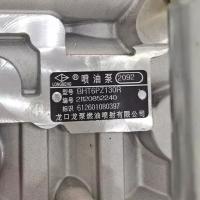 China Shacman F3000/F2000 Truck Part WP12 Engine Fuel Injection Pump Assembly 612601080397 for sale