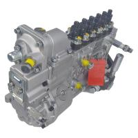 China Shacman F3000/F2000 Truck Part WP12 Engine Fuel Injection Pump Assembly 612601080397 for sale