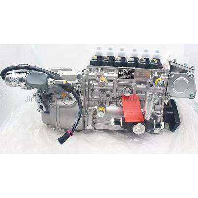 China After-sales Service Online Support Sinotruk HOWO Fuel Injection Pump Hg1500089019 for sale