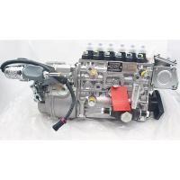 China Silver Hg1500089019 Cnhtc Engine Part Diesel Fuel Injection Pump for Wd615.68c02n for sale