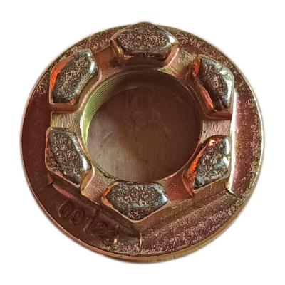 China Sinotruk HOWO Dump Truck Flange Nut 79000320013 for Weichai Engine Support Payment in USD for sale
