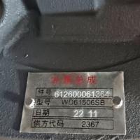 China Online Support Shacman F3000 Dump Truck Weichai Wp10 Engine Water Pump 612600061364 for sale