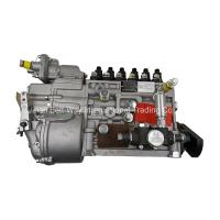 China Applicable Truck HOWO 371/Shacman F3000/F2000/M3000 Engine Fuel Injector Pump Vg1560080022 for sale