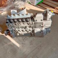 China Applicable Truck HOWO 371/Shacman F3000/F2000/M3000 Engine Fuel Injector Pump Vg1560080022 for sale