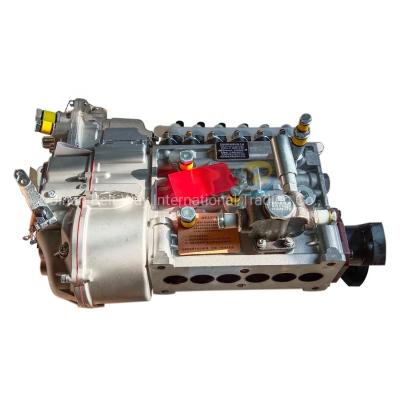 China Genuine Sinotruk Wd615 Engine Parts Injection Pump Vg1560080022 for Shacman F3000 for sale