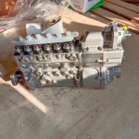 China 40 Kgs Vg1560080022 PS8500 Fuel Injection Pump for HOWO Weichai Wd615.69 336HP as Shown for sale