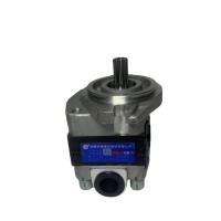 China CBHV-F20-A1L1 Hydraulic Pump for HELI G Series Forklifts - Long Working Life, Steel Material, CPD20-30 Compatible for sale