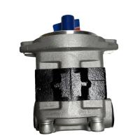 China CBHV-F20-A1L1 Hydraulic Pump for HELI G Series Forklifts - Long Working Life, Steel Material, CPD20-30 Compatible for sale