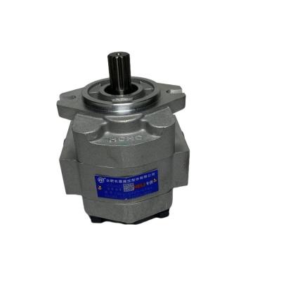 China Durable Steel Material Hydraulic Pump with Long Working Life and 6 Months Warranty for Forklift Spare Parts for sale