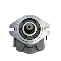 China Durable Steel Material Hydraulic Pump with Long Working Life and 6 Months Warranty for Forklift Spare Parts for sale