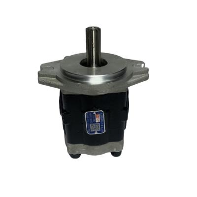China Long Working Life Steel Material Hydraulic Pump with 6 Months Warranty for HELI CPD20-30 Forklift Spare Part DSG05/DSG05C16F9H1-R016CH for sale