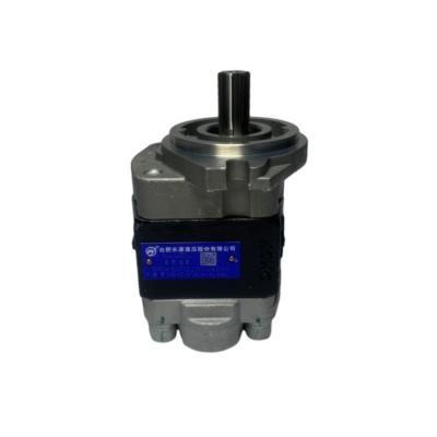China Long Working Life Steel Material Hydraulic Pump for Forklift CPC(D)20-35 Compatible with HELI H93N7-10001 CBHZ-F31.5-ALH6L for sale