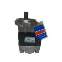 China HELI Black Machinery Hydraulic Pump CBHZ-F31.5-AL with Long Working Life and Steel Material for CPC(D)20-35 Forklifts for sale