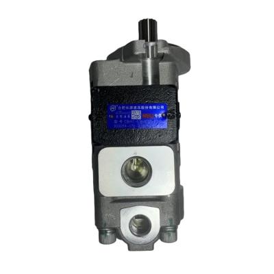 China Steel Material Long Working Life Hydraulic Pump CPCD80-100 Compatible for HELI H2000 Forklift for sale