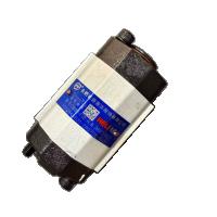 China CBXB2-F08-ALBL Hydraulic Gear Pump AA5E7-10021 OEM Part for HELI 10Ton Electric Forklift CPD100 for sale