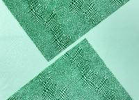 China 210GSM 100% Polyester Fleece Fabric with Green Leopard Print - 150cm Width for Home Textiles for sale