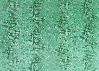 China 210GSM 100% Polyester Fleece Fabric with Green Leopard Print - 150cm Width for Home Textiles for sale