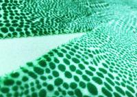 China 210GSM 100% Polyester Fleece Fabric with Green Leopard Print - 150cm Width for Home Textiles for sale