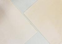 China 220GSM 100% Polyester Plush Fabric for Soft Toys - 160cm Width, Cream Color, Custom Colors Available for sale