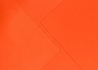 China 240GSM Soft 100% Polyester DWR Fabric Fluorescent Orange 160cm Width for Accessories for sale
