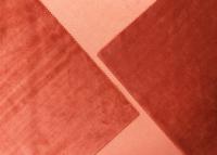 China 205GSM Brick Red Polyester Plush Fabric 160cm Width for Toys and Textiles for sale