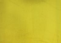 China 210GSM 100% Polyester Embossed Micro Velvet Fabric - 160cm Width for Pet Beds & Home Textiles for sale