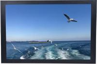 China 11.6 15.6 18.5 21.5 Inch Touch Screen Industrial Panel PC With Front Camera for sale