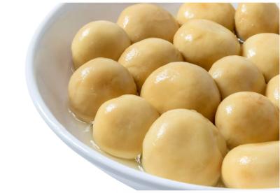 China HACCP Canned Sliced Mushrooms 400g Canned Whole Mushroom Pleurotus Eryngii for sale