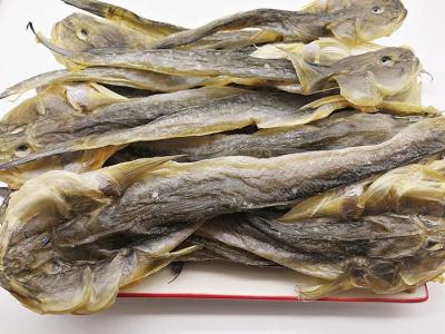 China Portable Package Dried Sea Fish 24 Months Shelflife HACCP for sale