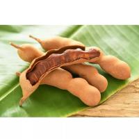 China HACCP Fruit Preserves Food Dried Tamarind Snack Without Preservatives for sale
