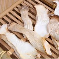 China Mygou Sliced King Oyster Mushrooms HACCP Edible Fungus for sale