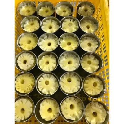 China Canned Pineapple In Syrup / Fresh Pineapple / 40% Moisture for sale