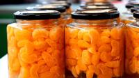 China 1000 Canned Mandarin Orange Segments For Baking Cake MOQ 5CTN OEM for sale