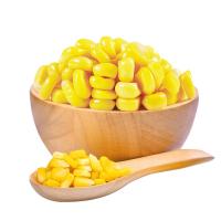 China Non GMO Yellow Canned 100g Sweet Corn Rich Starch With Special Fragrance MOQ 5CTN for sale