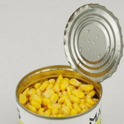 China 500g Sweet Kernel Corn Fresh Canned Hard Texture Tomatoe for sale
