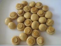 China 184G Mushroom Canned Fresh Slices / Pieces And Stems HALAL Certification for sale