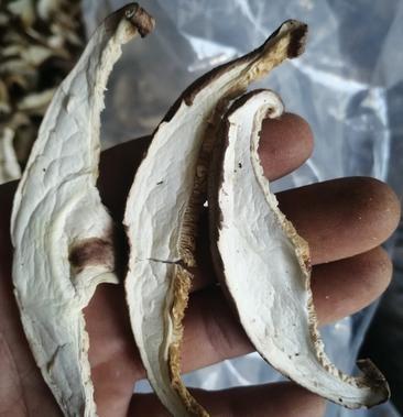 China 500g Food Family Pack Dried Sliced Shiitake Mushrooms MOQ5CTN for sale