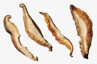 China 500g Food Family Pack Dried Sliced Shiitake Mushrooms MOQ5CTN for sale